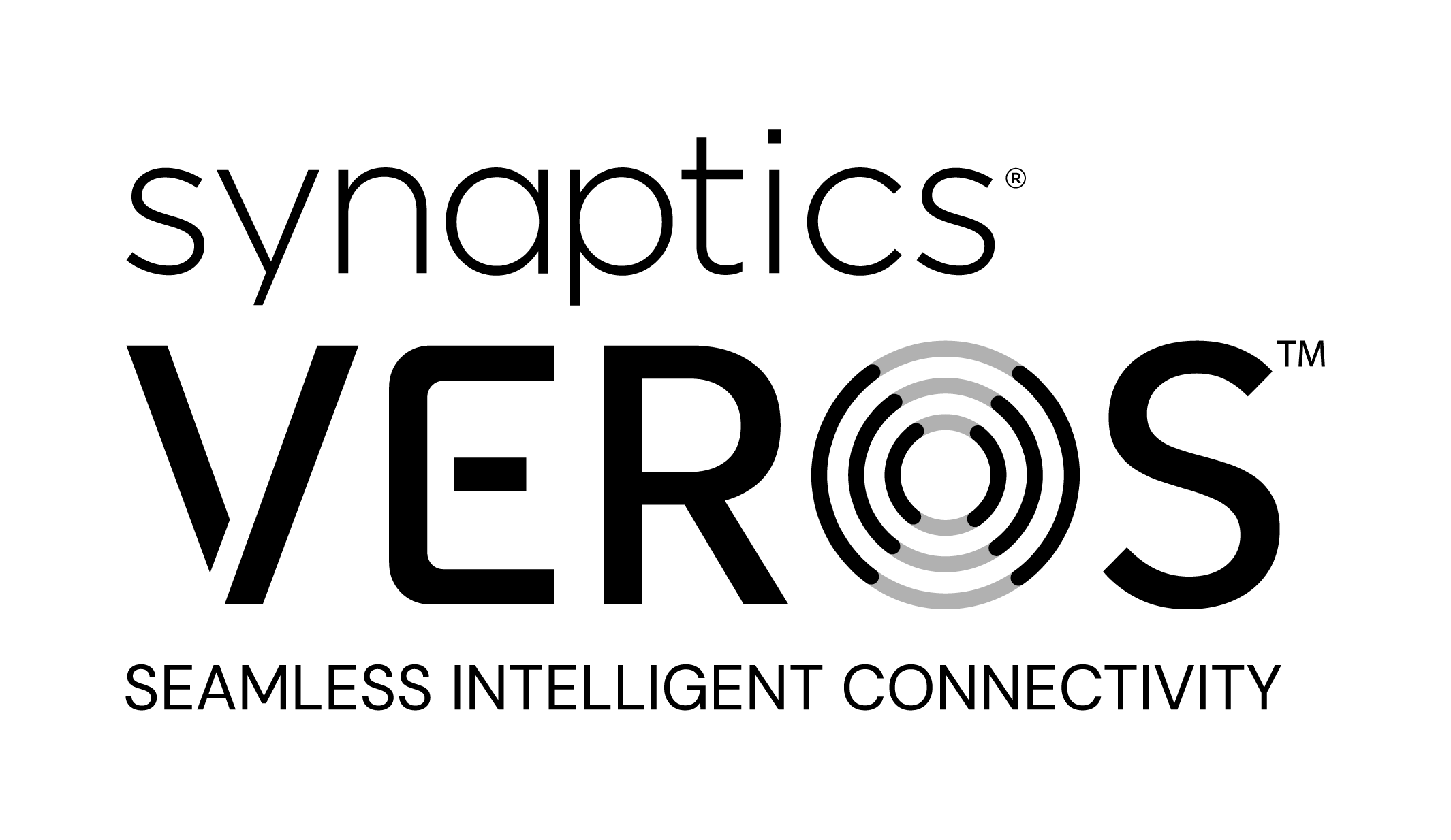 Strategic Partnership with Synaptics-Ampak Technology Inc.